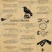 40 Cursed Journal Prompts, Printable Writing Inspiration (digital ...