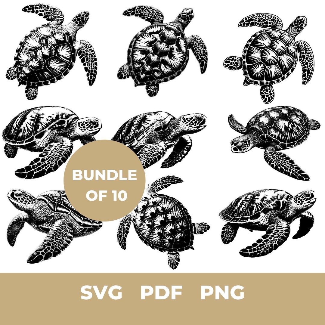 Hand-drawn Sea Turtle SVG, PNG, PDF Bundle - 10 Unique Designs - Etsy