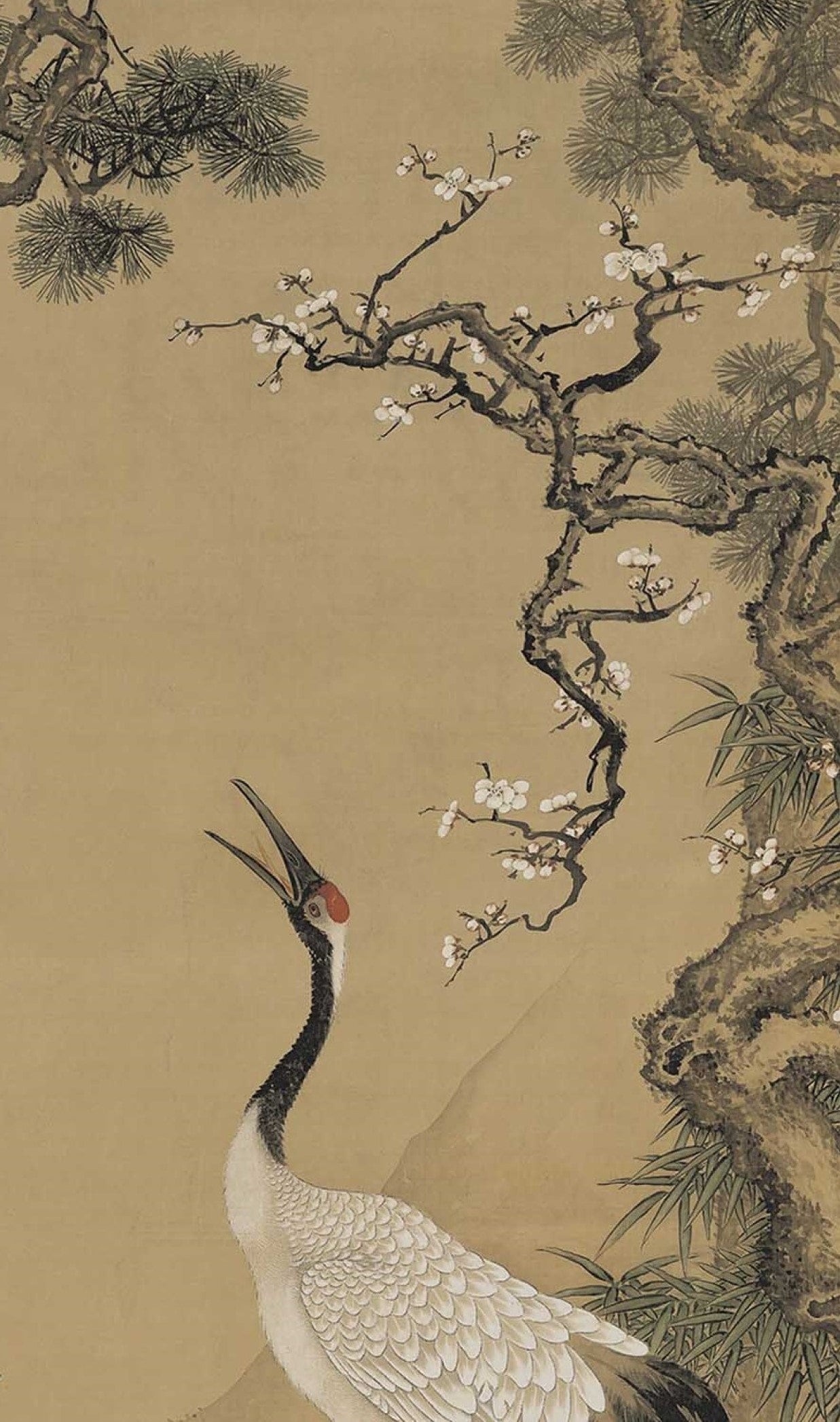 Antique Chinese Painting, Twin Cranes Under Pine and Plum by Shen Quan ...