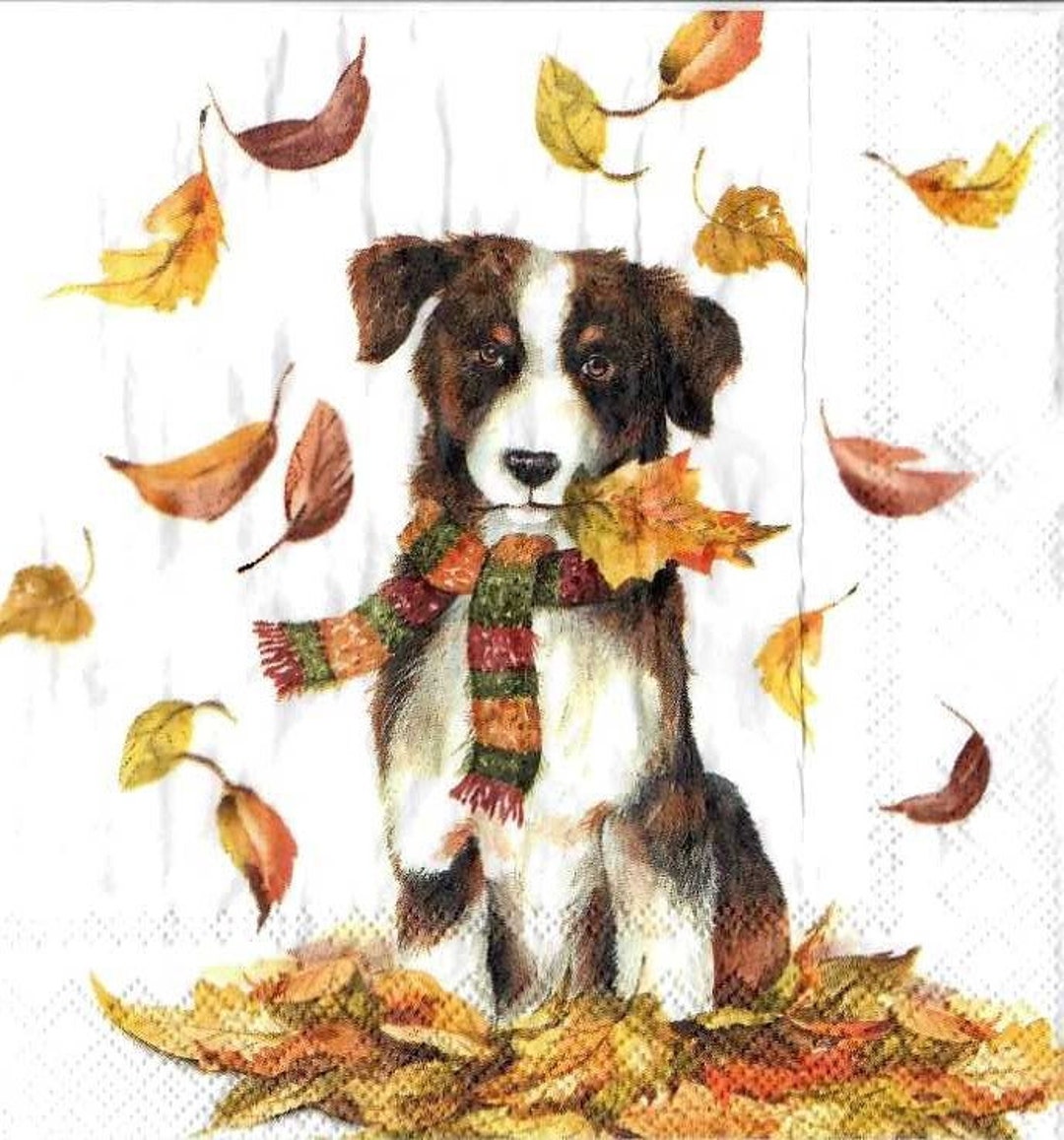 2- 5"x5", A Dog With Fall Leaves , Decoupage Napkins, Decoupage Napkins ...