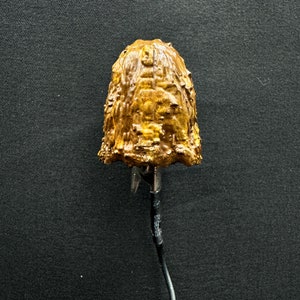 Rhett, GMM Custom Head Sculpt, 1/10 or 1/12 Action Figure Head Sculpt ...