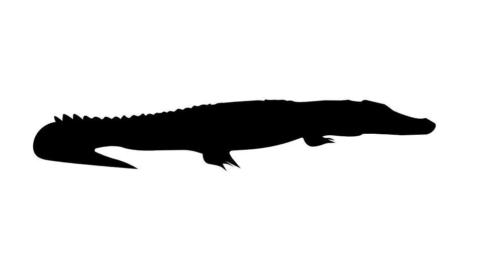 Crocodiles Dxf, Svg, Ai, Eps, Png Files Only - Etsy