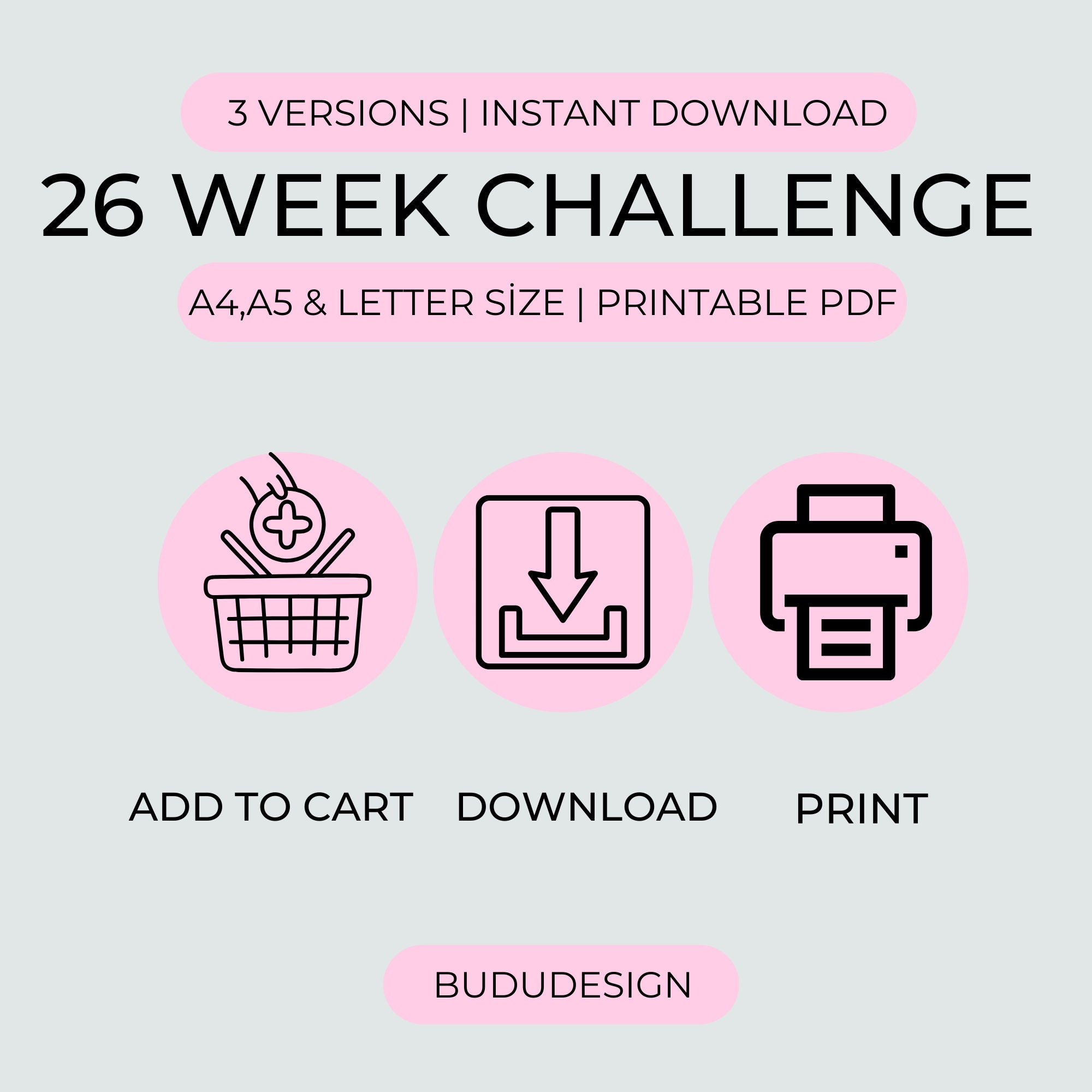 26 Week Savings Challenge , 26 Week Challenge Template, Savings Tracker ...