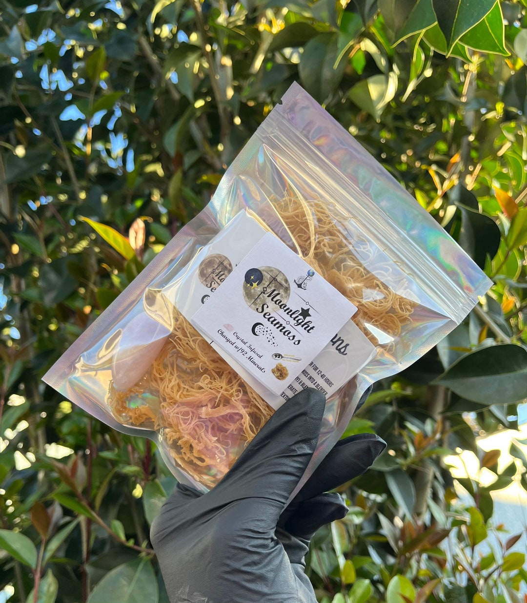 Sea Moss Individual Packs | Wildcrafted DIY Dry Packs With Crystal ...