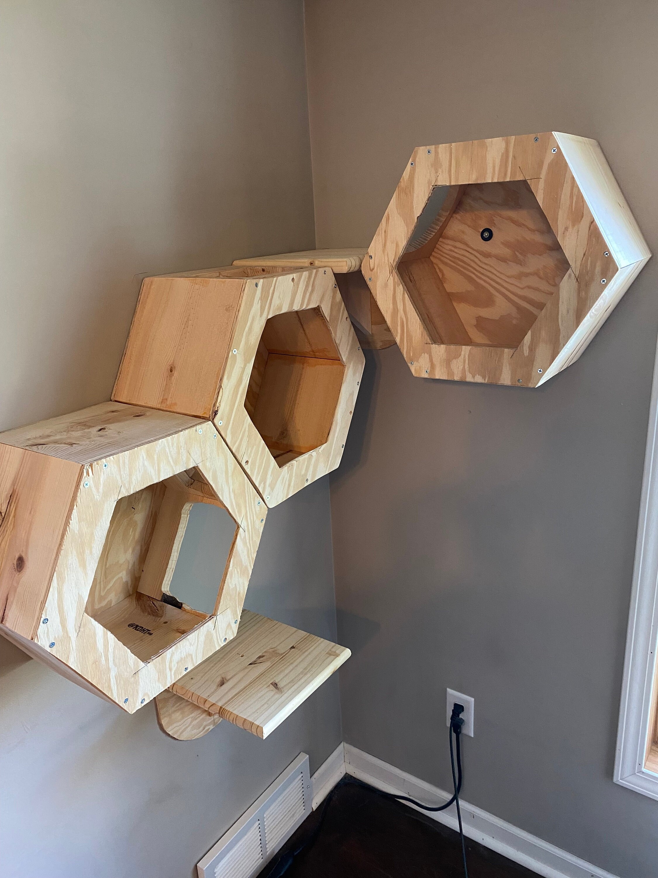 Wall Hanging Cat Hexagon - Etsy