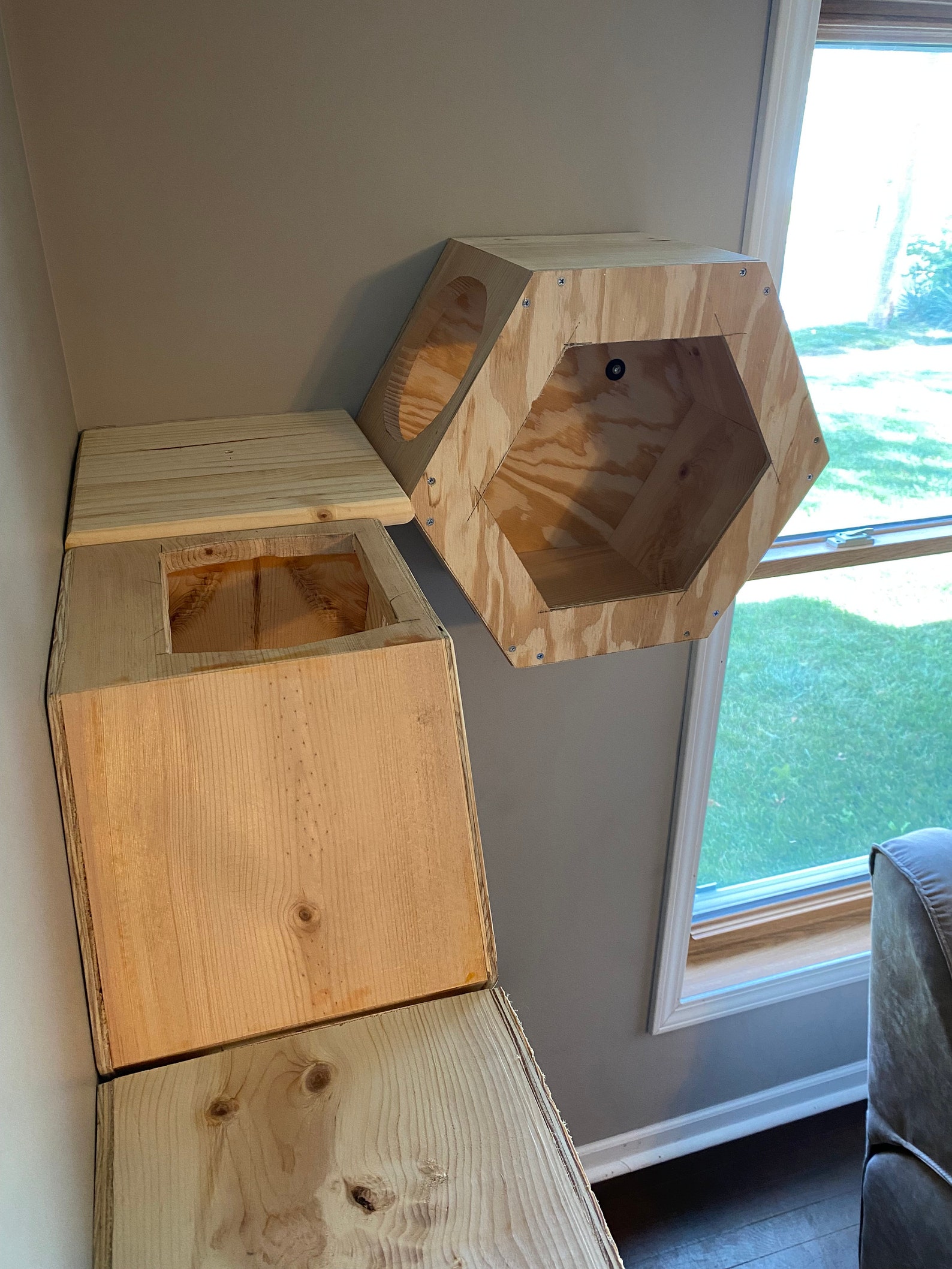 Wall Hanging Cat Hexagon - Etsy