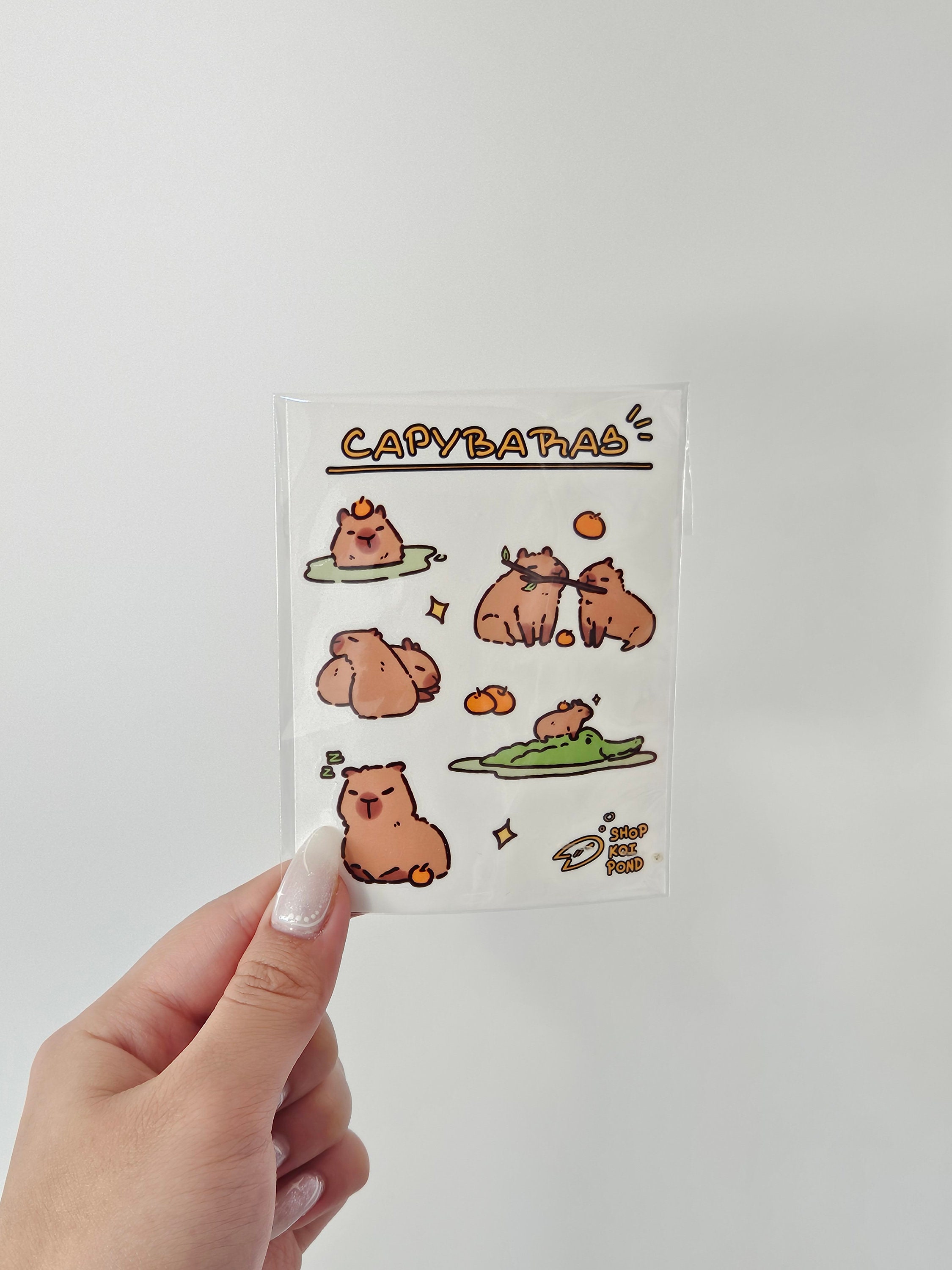 Capybaras Small Sticker Sheet - Etsy