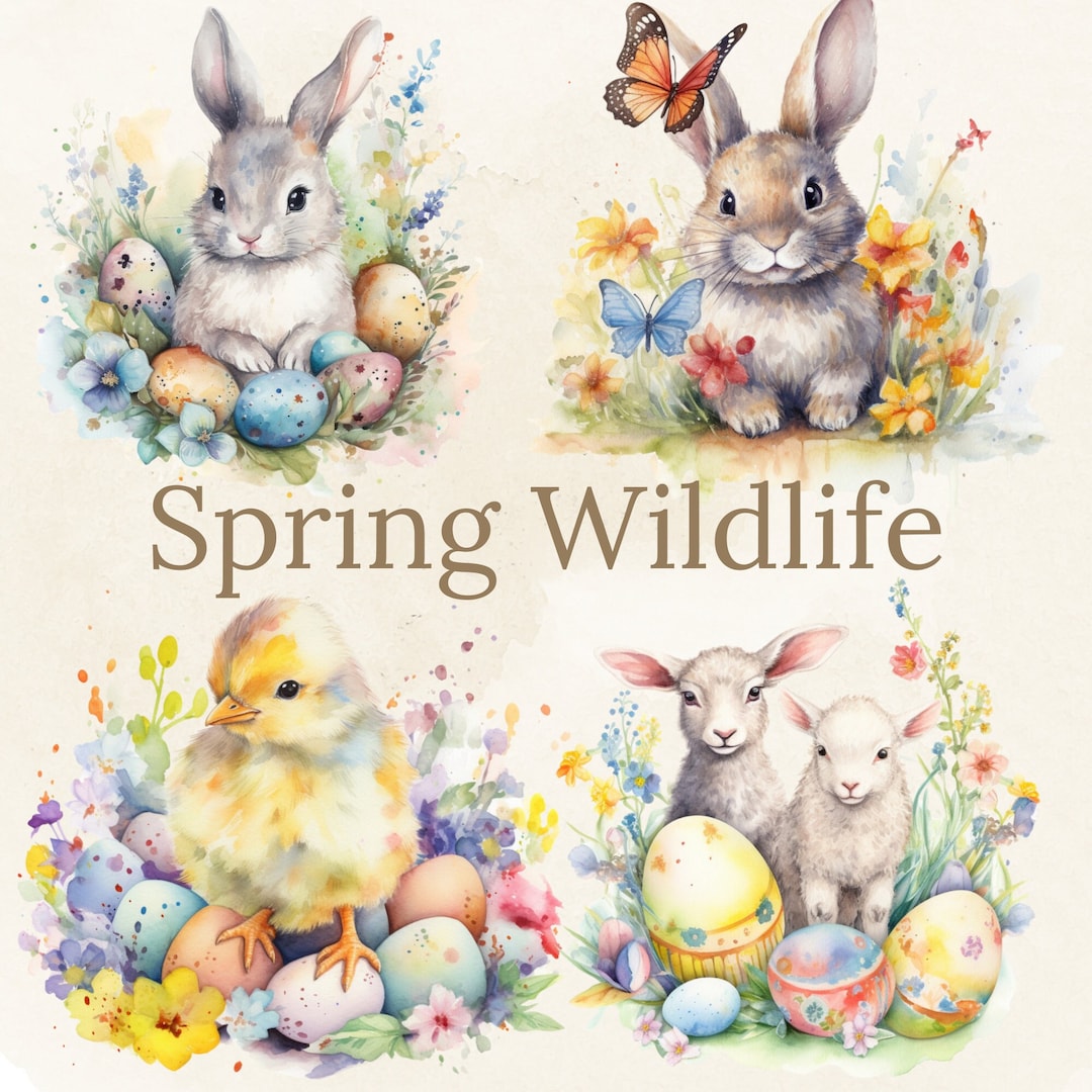 Spring Inspired Clipart - Charming Wildlife and Floral Designs - Ideal ...