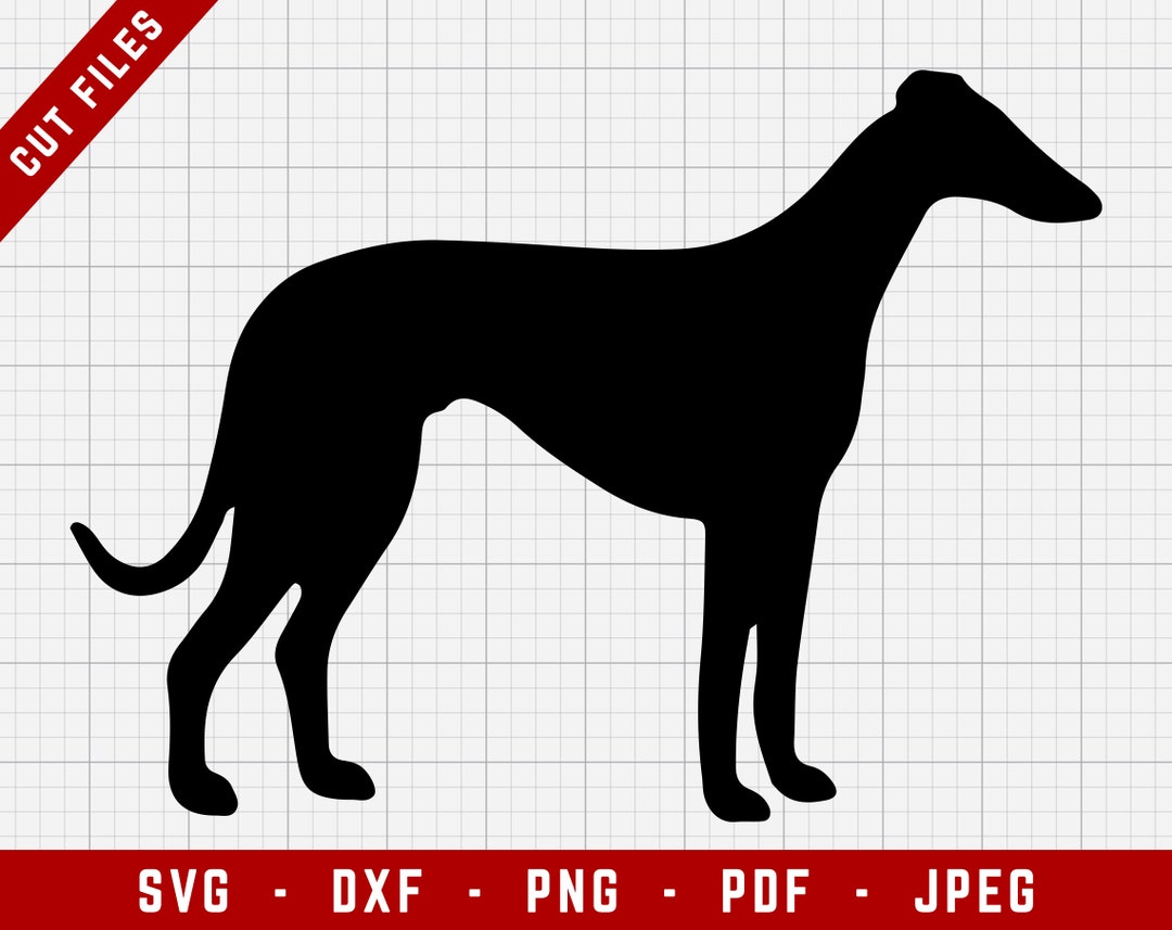 Whippet SVG Cutting File - Whippet Dog Svg | Dogs Digital Clip Art, Dog ...
