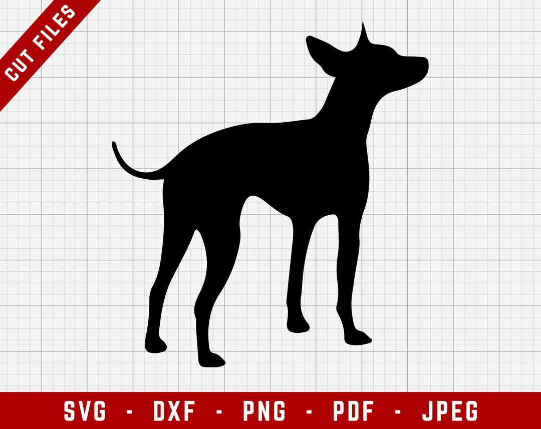 American Hairless Terrier SVG Cutting File | Dogs Digital Clip Art, Dog ...