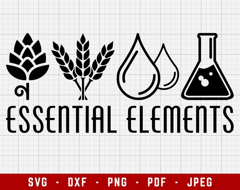 Elementos esenciales SVG Cutting Files / Beer Digital Clip Art, Beer ...