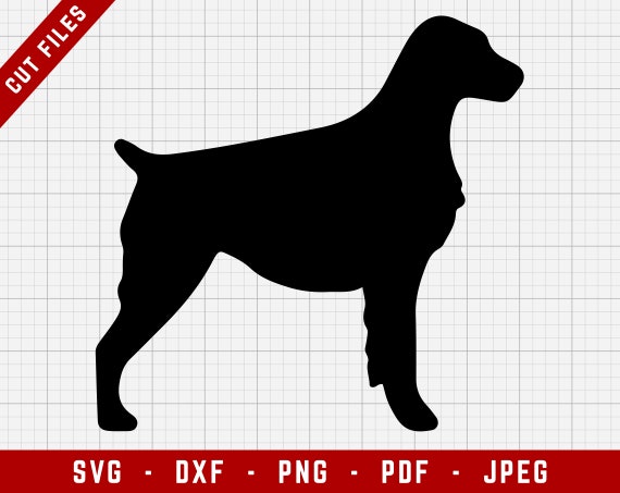 Brittany SVG Cutting File Brittany Dog Svg Dogs Digital | Etsy