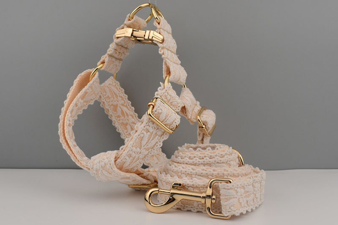 Personalized Dog Harness and Leash - Wedding Leaf Lace - Etsy