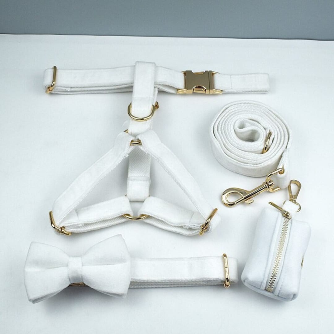 White Dog Harness and Leash Set: Teal Personalized Puppy Harness With ...