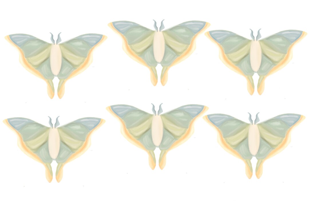 Detailed Moth Sticker| Cottage Core Green and Blue Moth Sticker| Hand ...