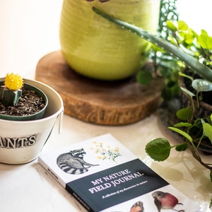 Nature Journal for Kids- Charlotte Mason Nature Study Prompts Field ...