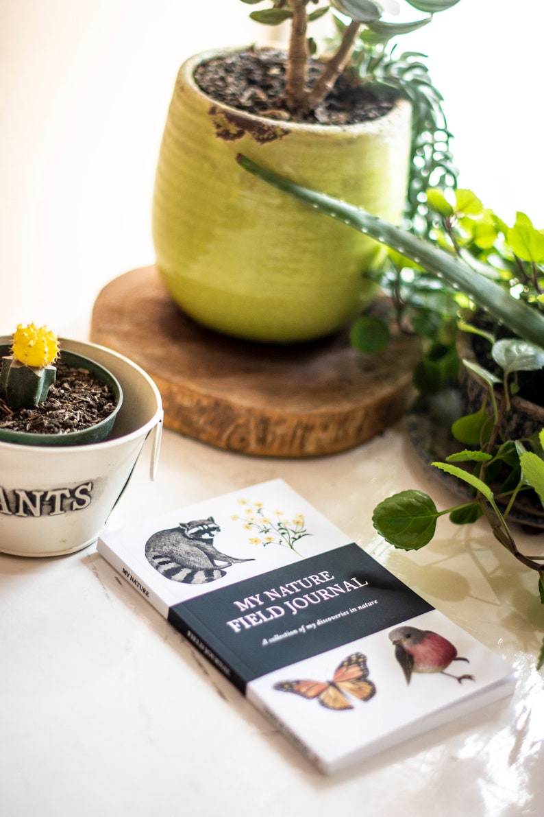 Nature Journal for Kids- Charlotte Mason Nature Study Prompts Field ...