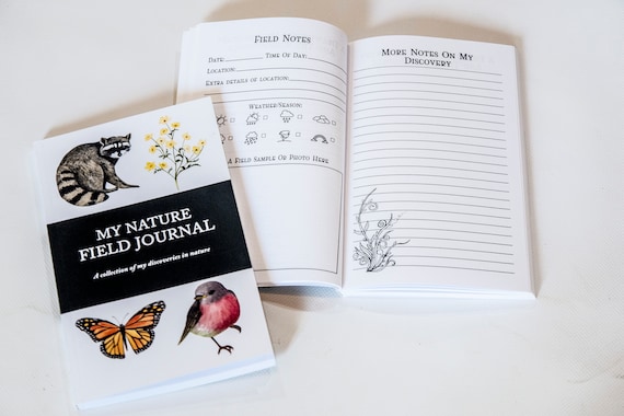 Nature Journal for Kids Charlotte Mason Nature Study Prompts - Etsy