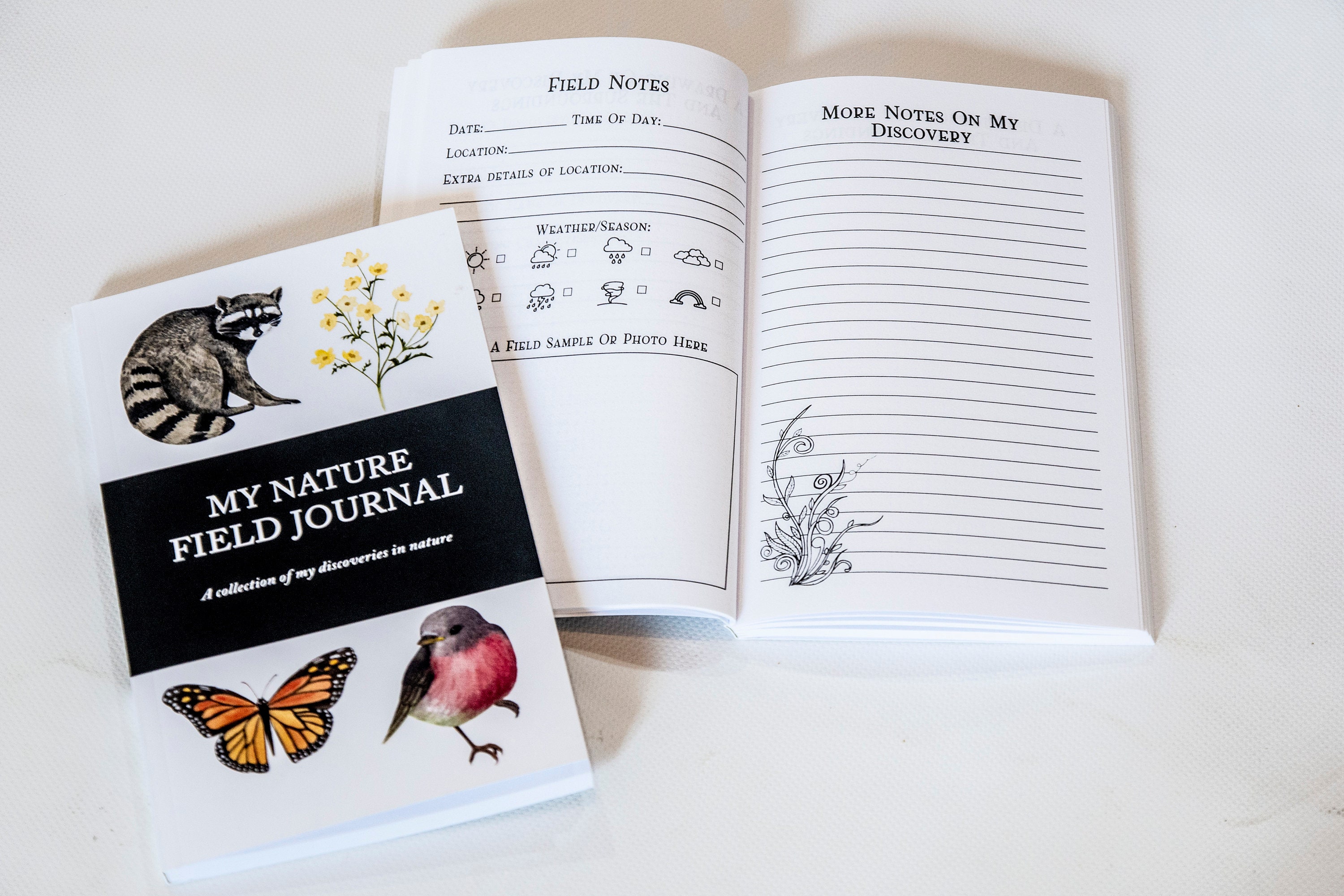 Nature Journal for Kids Charlotte Mason Nature Study Prompts - Etsy