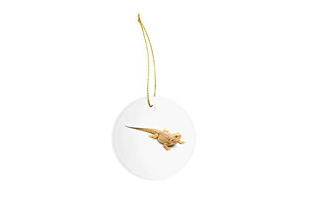 Bearded Dragon Ceramic Ornament Christmas Decorations 3 Circle Ceramic ...