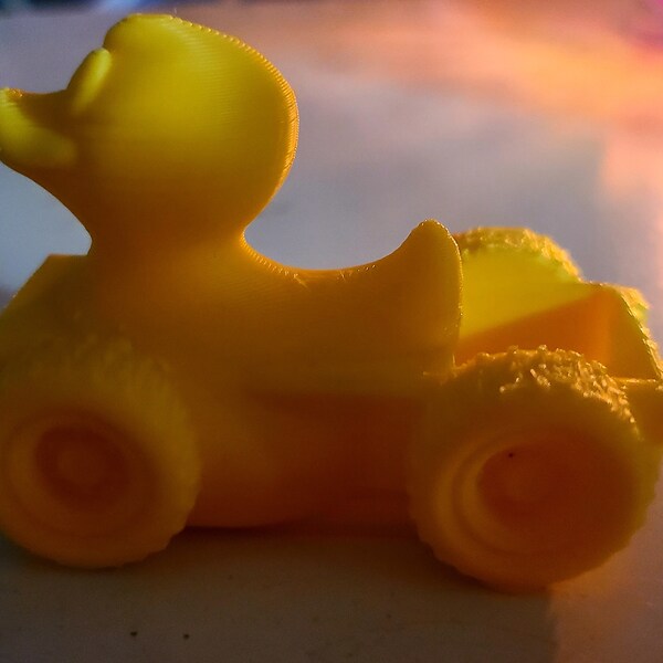 Jeep Gladiator With Ducks - Etsy