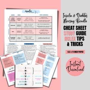 Diabetes Nursing School Notes Bundle | Nursing Student | Nursing Study ...
