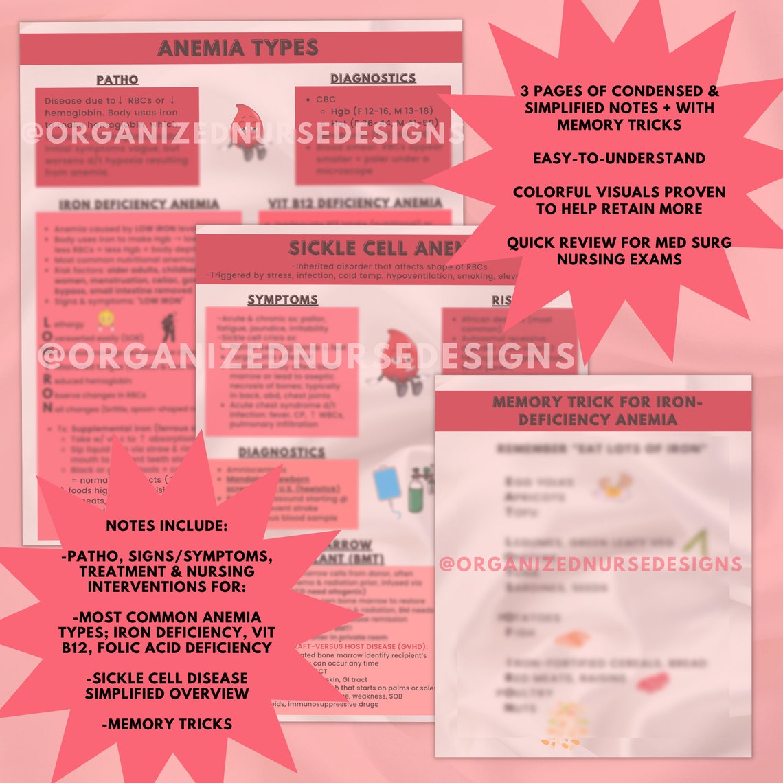 Anemia Nursing School Notes Bundle Study Guide With Practice Questions ...