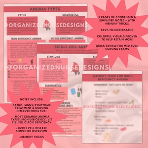 Anemia Nursing School Notes Bundle Study Guide With Practice Questions ...