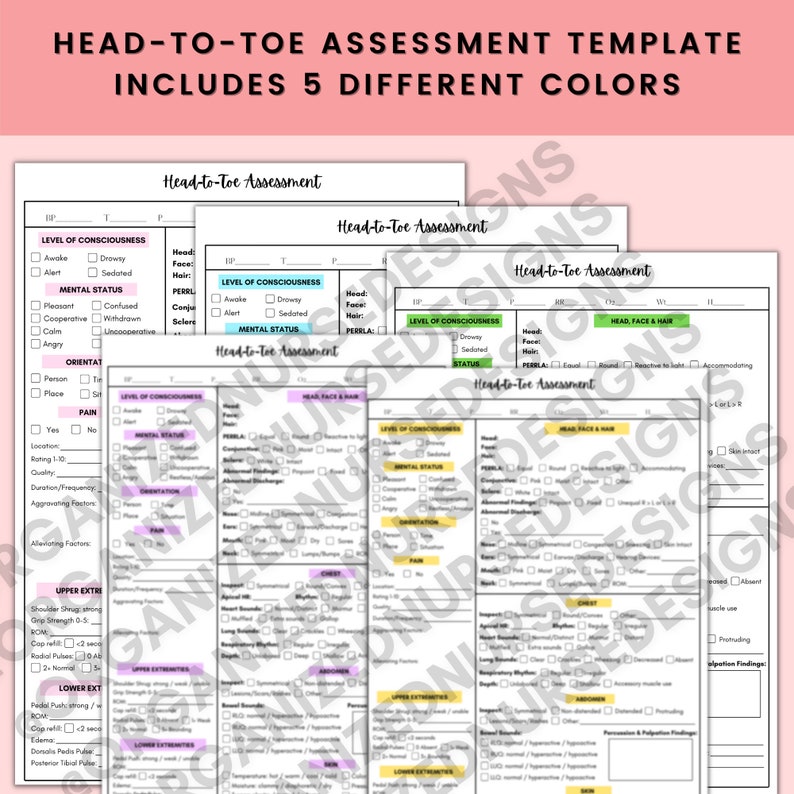 Head-to-toe Assessment Template Nursing Student - Etsy