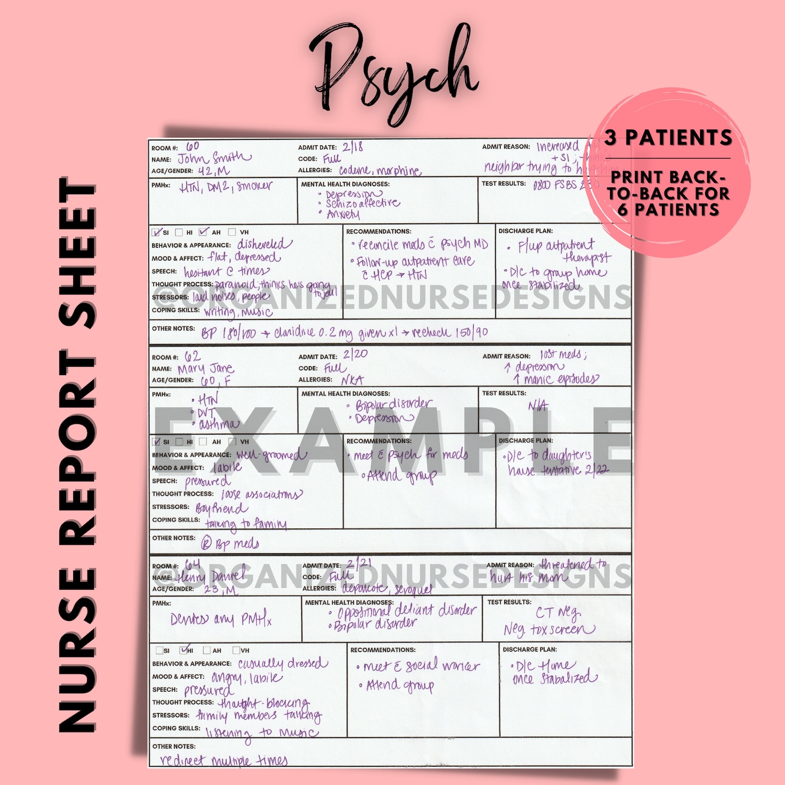 Psych Nurse Report Sheet: Mental Health Assessment Template (PDF) - Etsy