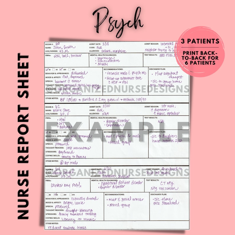 Nurse Report Sheet for 3 or 6 Psych Patients | Nurse Brain Sheet ...
