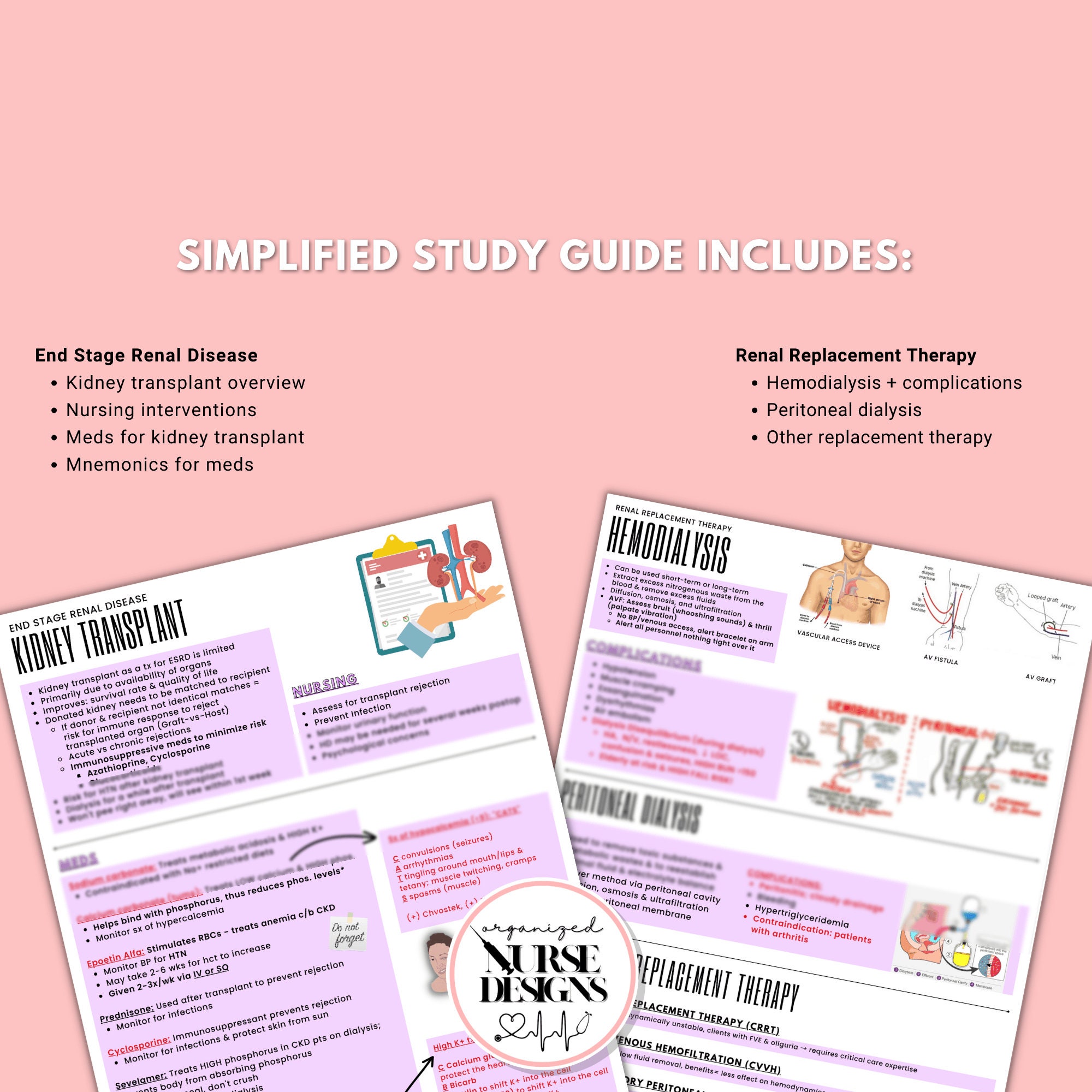 Kidney (AKI & CKD) Nursing School Study Guide (printable PDF) - Etsy