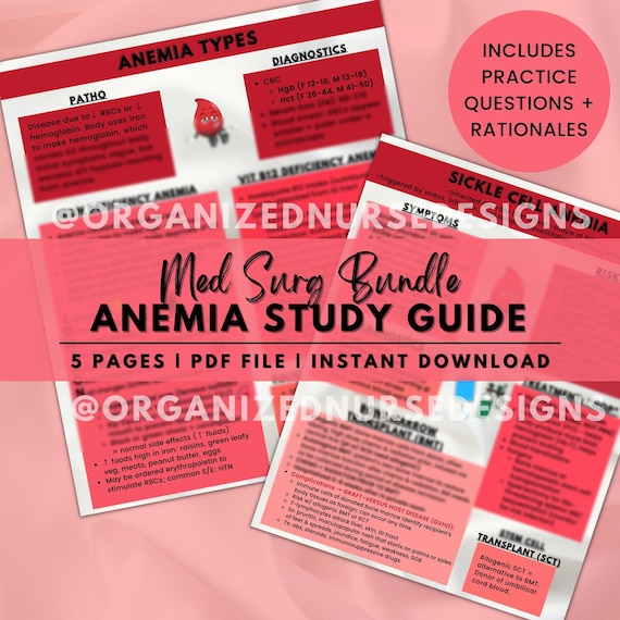 Anemia Nursing School Notes Bundle Study Guide With Practice - Etsy
