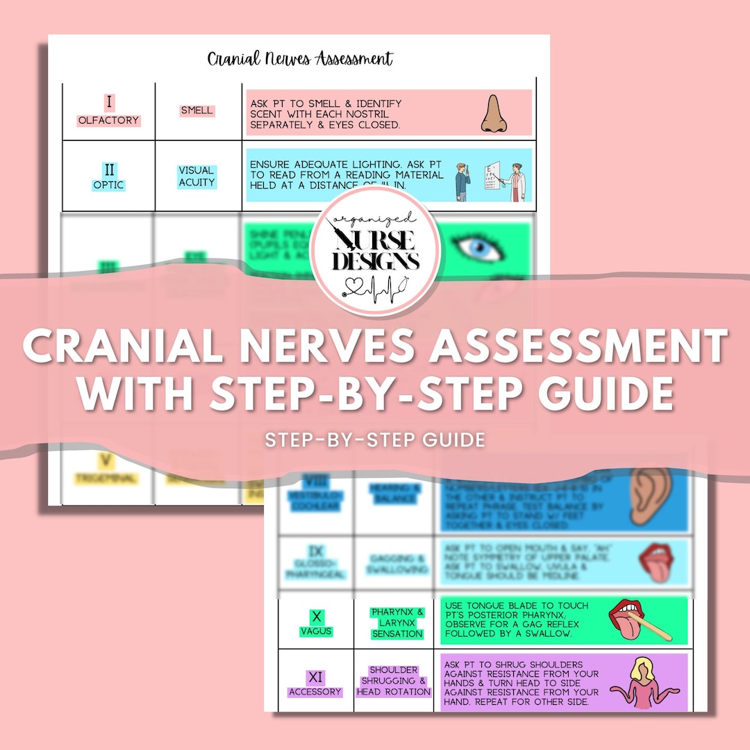 Cranial Nerves Assessment Step-by-step Guide | Nursing Student ...
