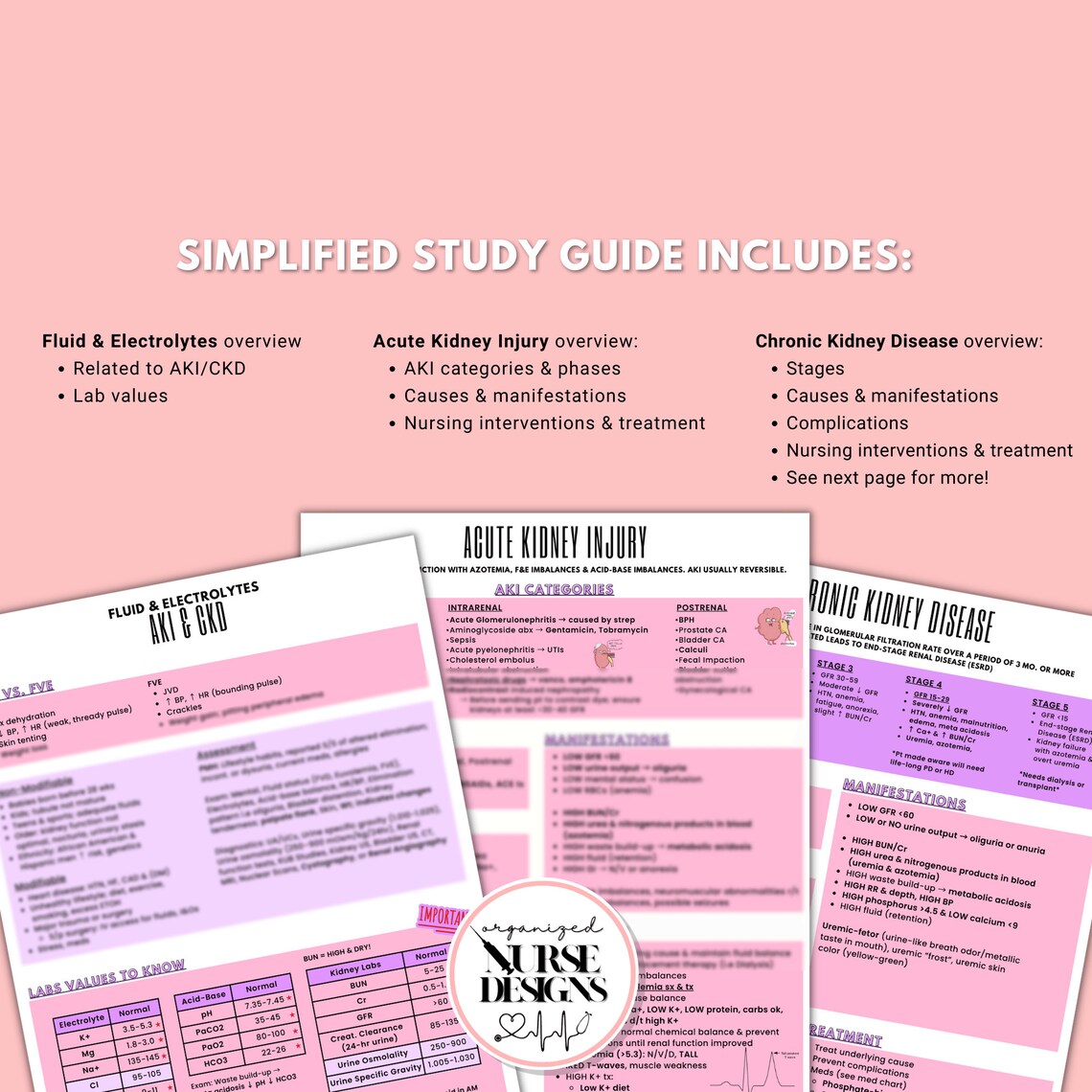 Kidney (AKI & CKD) Nursing School Study Guide (printable PDF) - Etsy