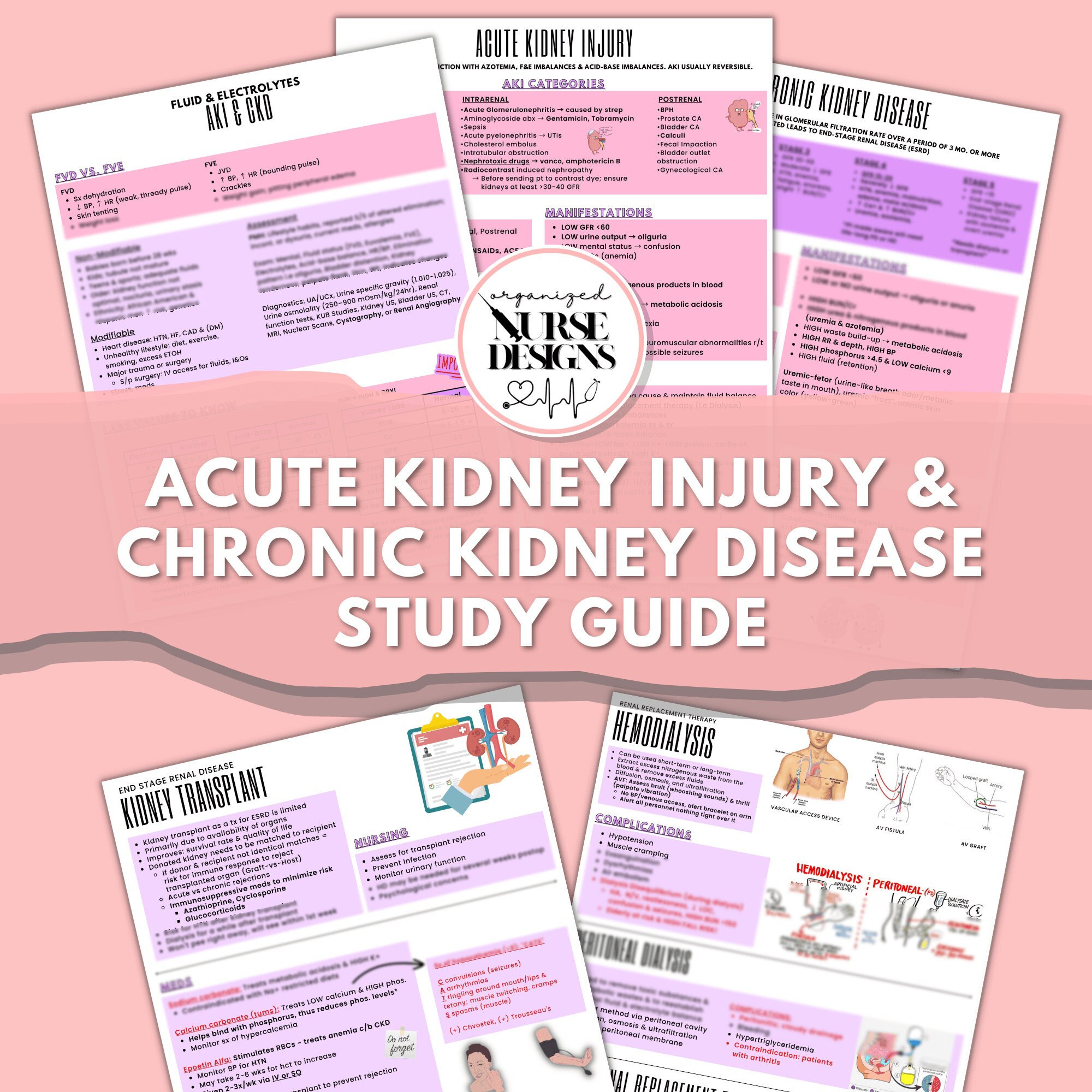 Kidney (AKI & CKD) Nursing School Study Guide (printable PDF) - Etsy