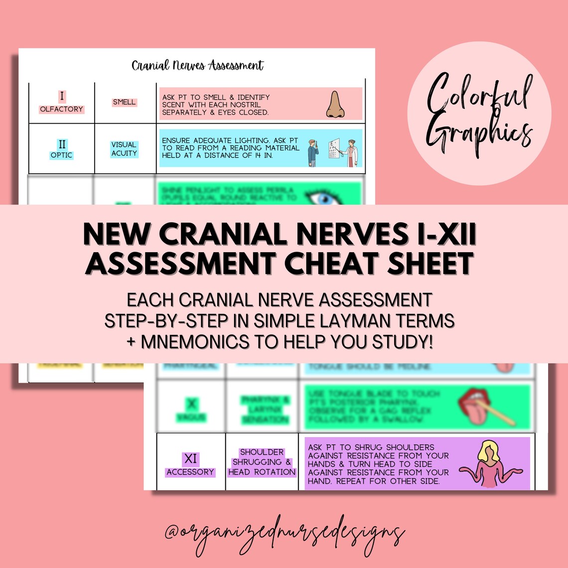 Cranial Nerves Assessment Step-by-step Guide | Nursing Student ...