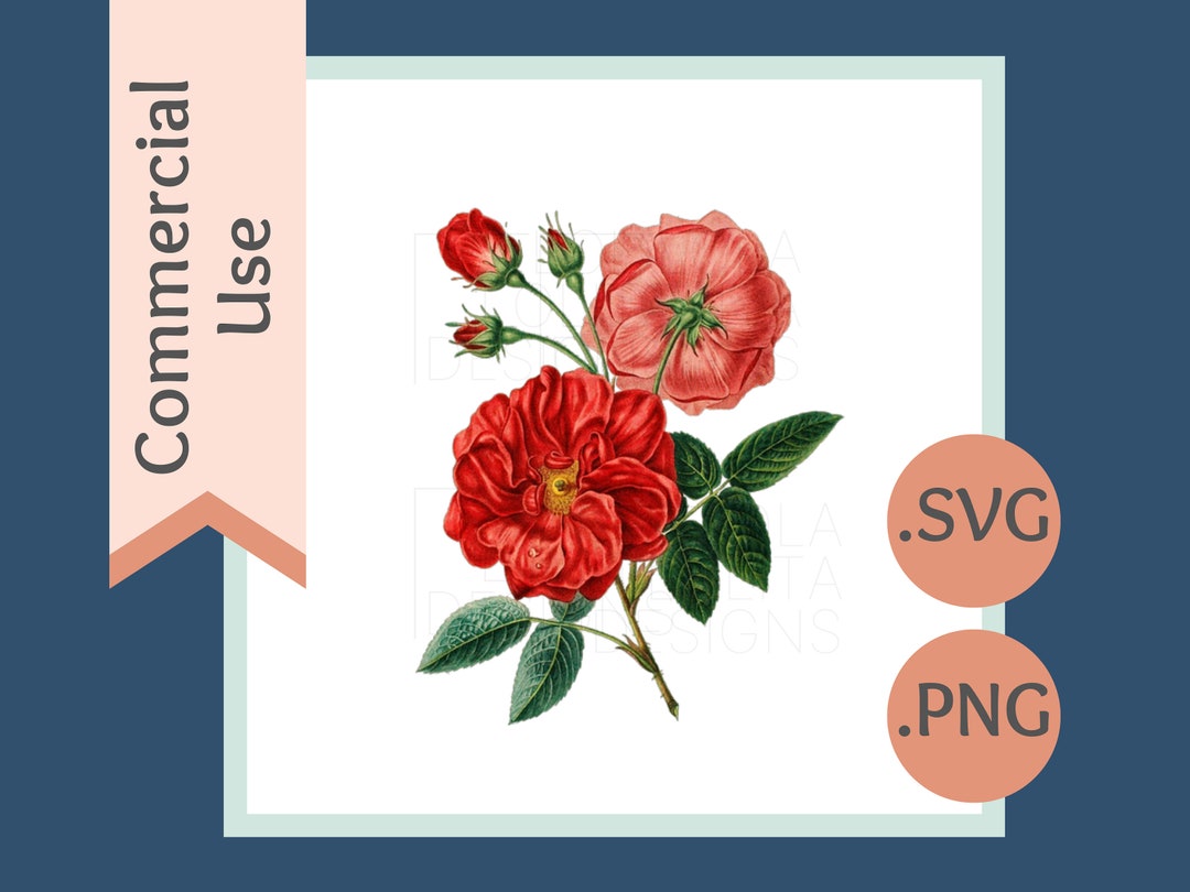 Buy Vintage Red Rose SVG File PNG File Download Commercial Cut File ...