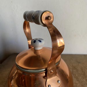 Copper Tin Snake Sprout Kettle With Delft Handle , French Vintage Water ...