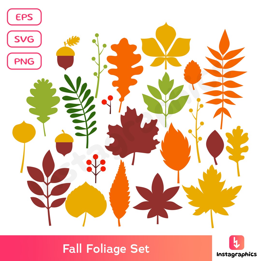Fall Foliage Svg Png Eps 23 Unique Fall Leaves - Etsy