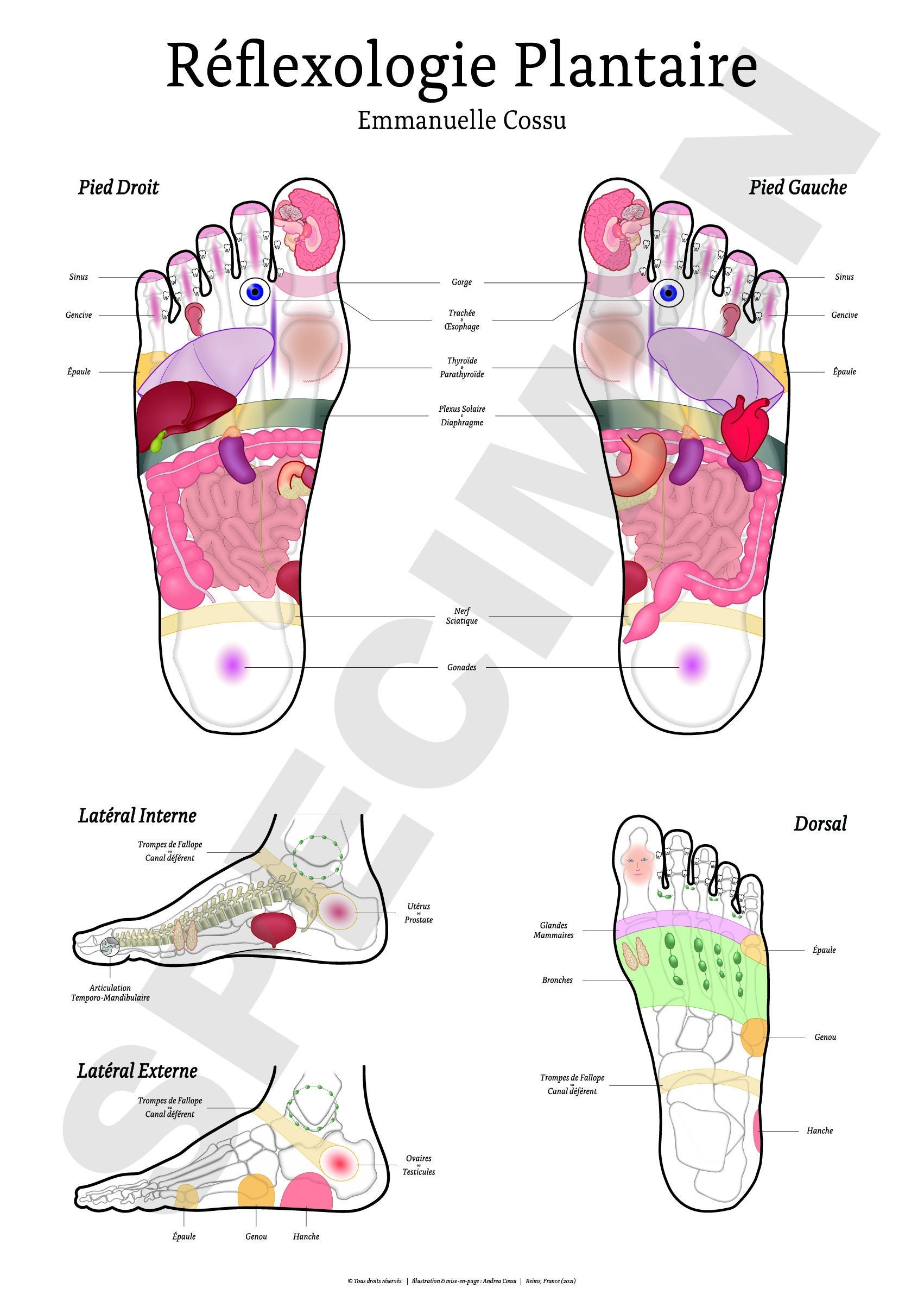 Reflex Zones Poster - Etsy