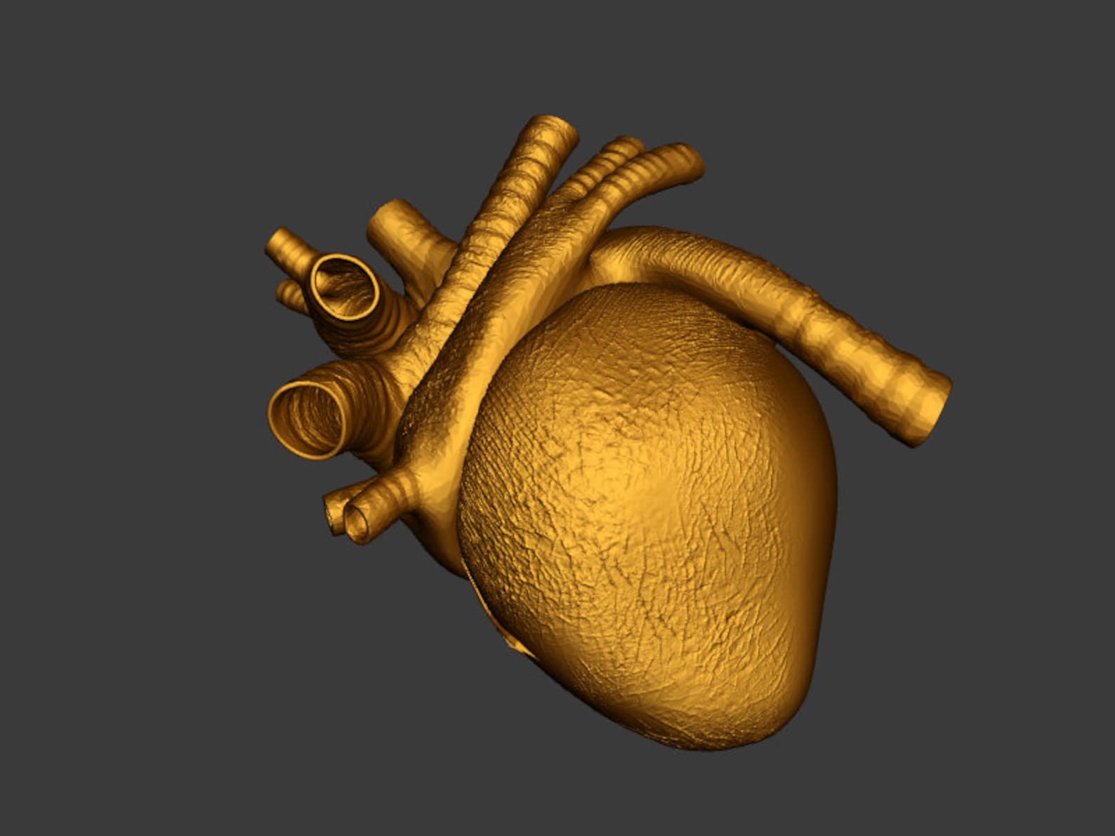 Modelo de corazón anatómico 3D stl, dibujo de corazón humano 3D stl ...