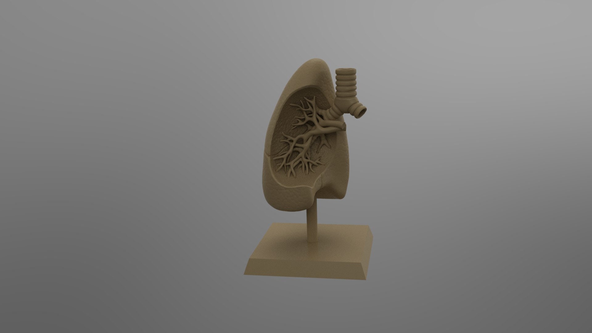 3D Anatomic Heart Model STL File for 3D Printing - Etsy Canada