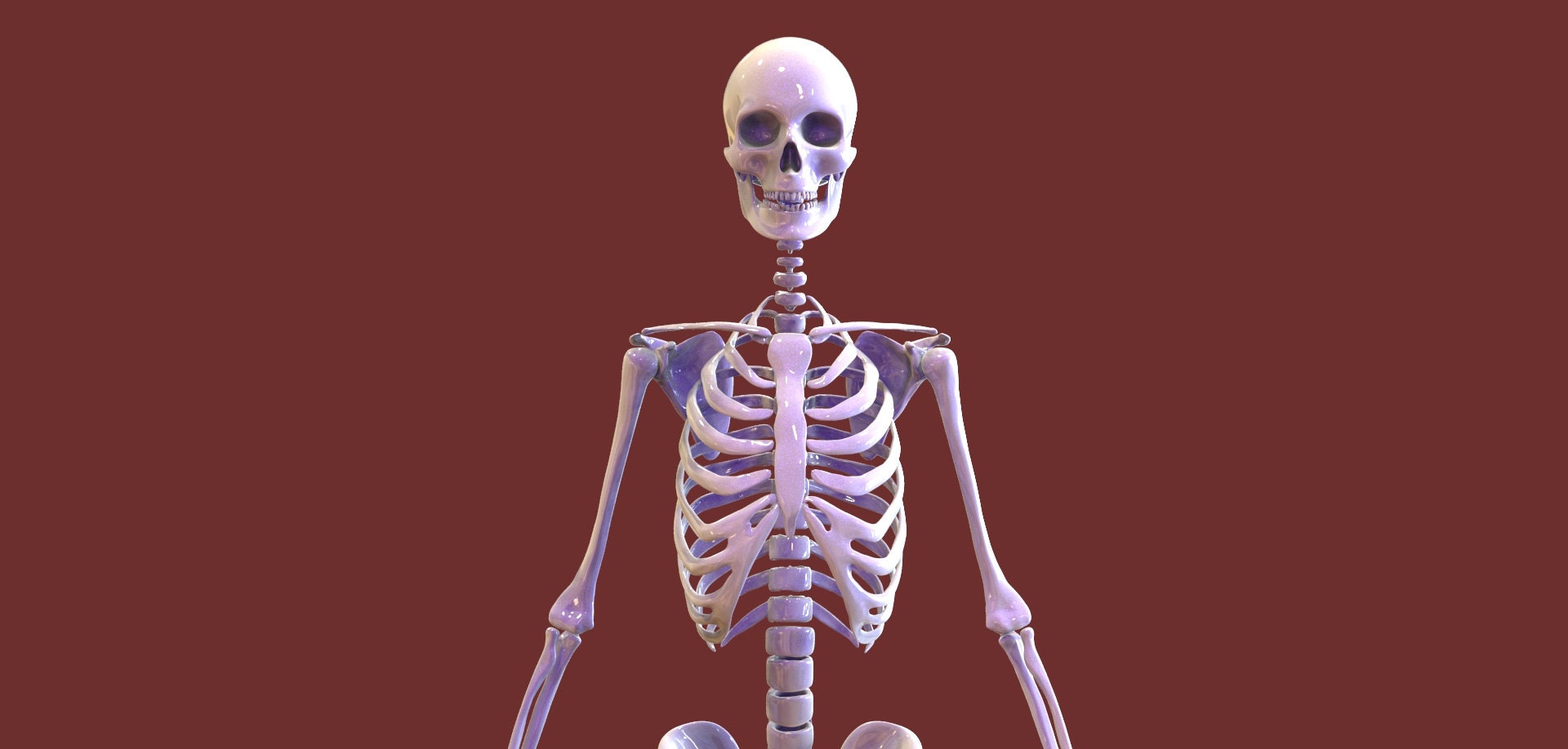 3D Stl Model,3d Stl Human Skeleton Drawing File,stl for Priting,3d ...