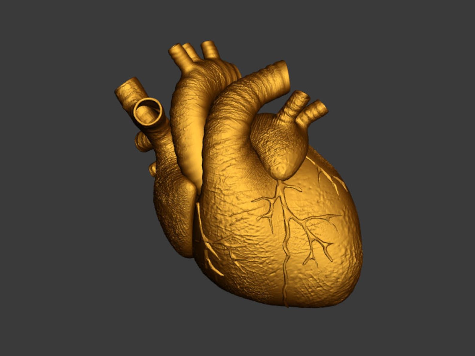 Modelo de corazón anatómico 3D stl, dibujo de corazón humano 3D stl ...