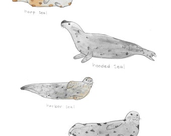 Block Island Sharks Print - Etsy UK