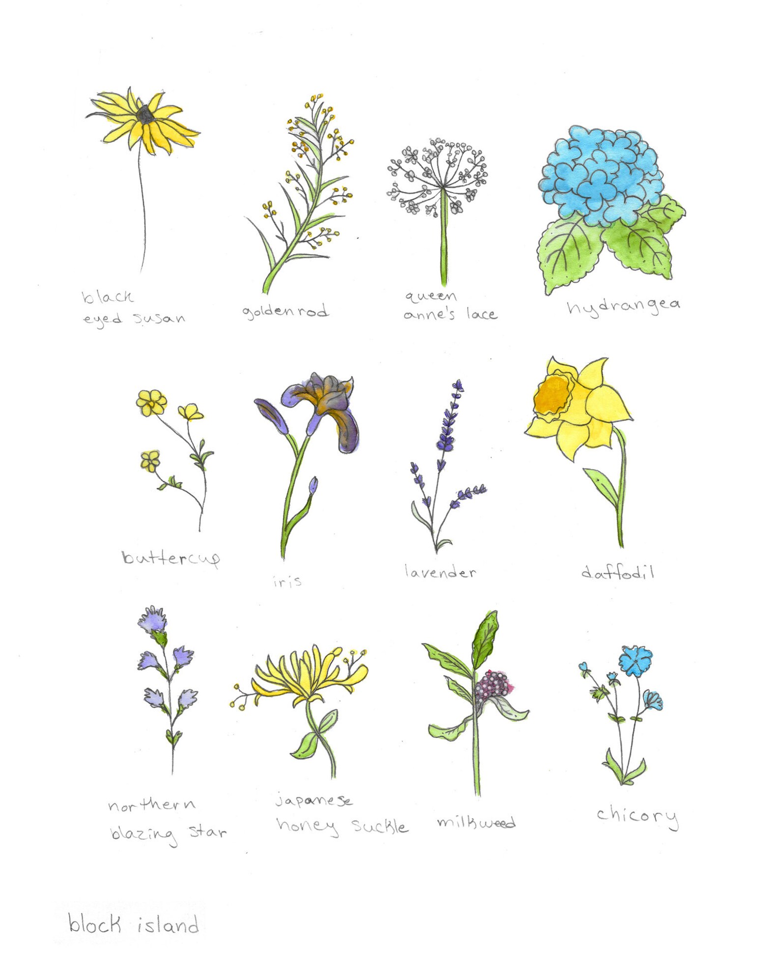 Block Island Flowers Print - Etsy