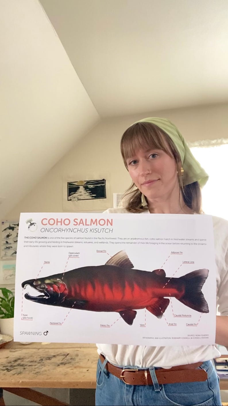 Coho Salmon Poster - Etsy