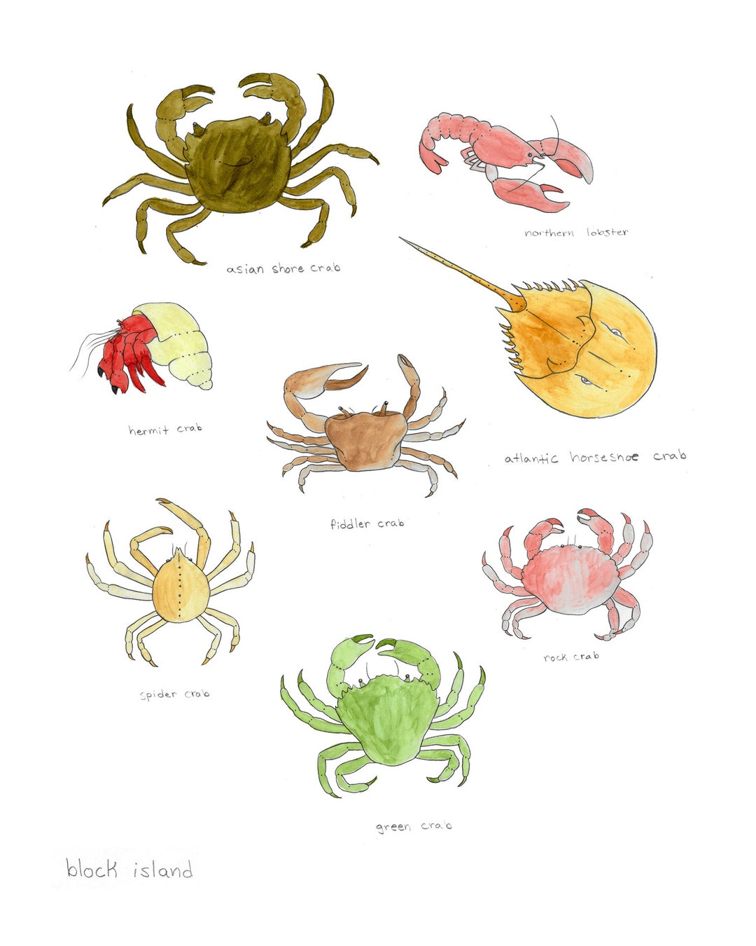 Block Island Crabs Print - Etsy