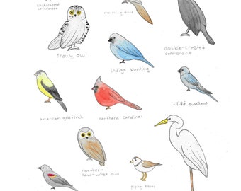 Block Island Sharks Print - Etsy UK